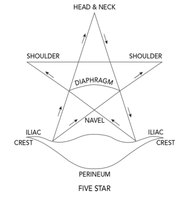 Five Star Balance Protocol – Biosonics